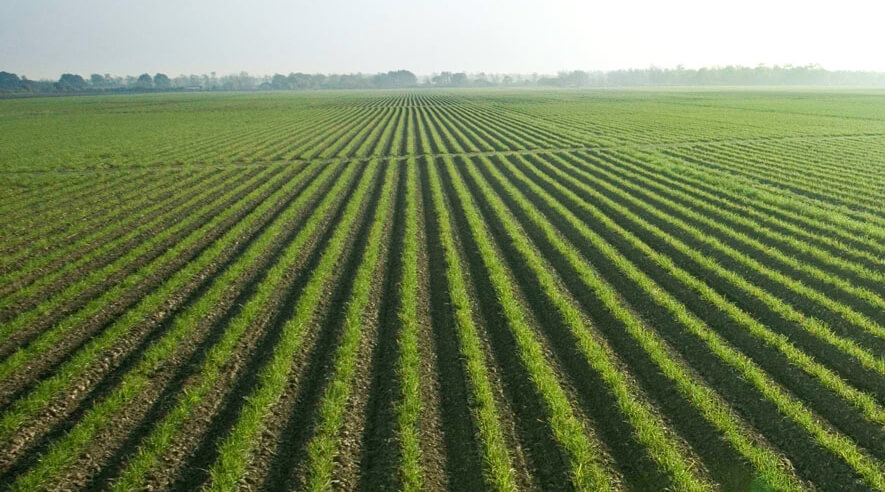 Environmental Promise | FASTSIGNS